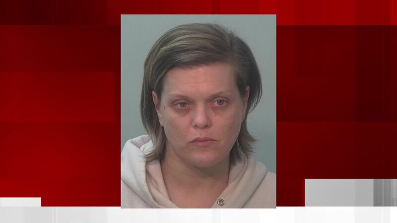 Michigan Woman Sentenced To 6 Years In Prison For Fatal 2022 Crash On I 469